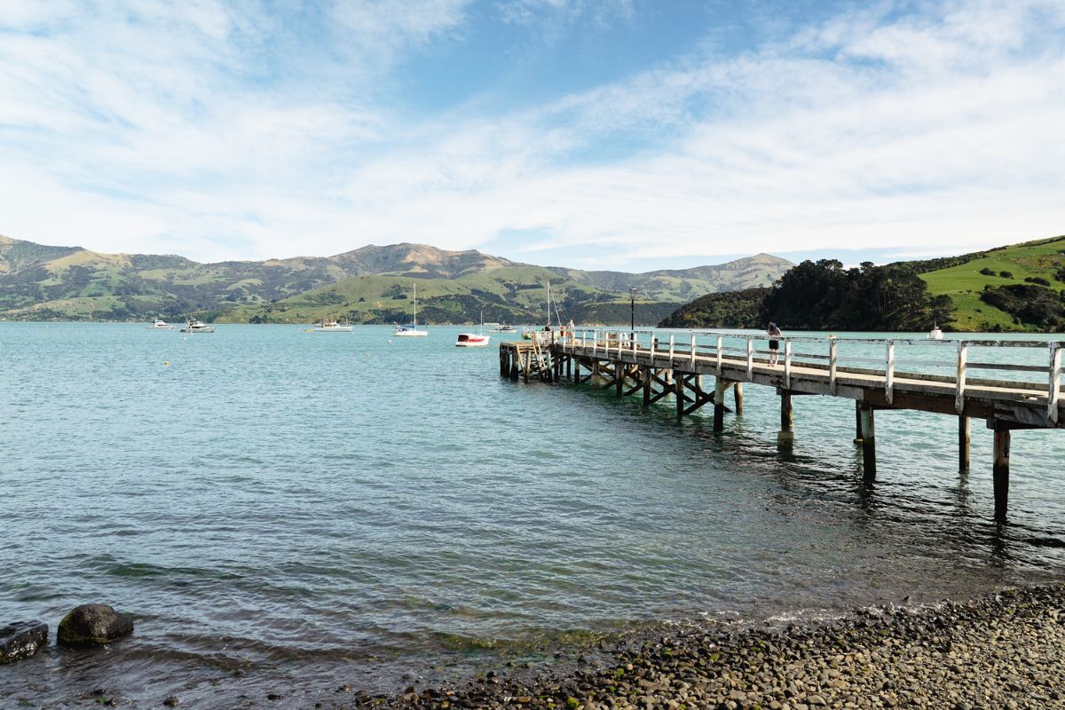 Akaroa and Banks Peninsula Tour - Alpine Luxury Tours Christchurch